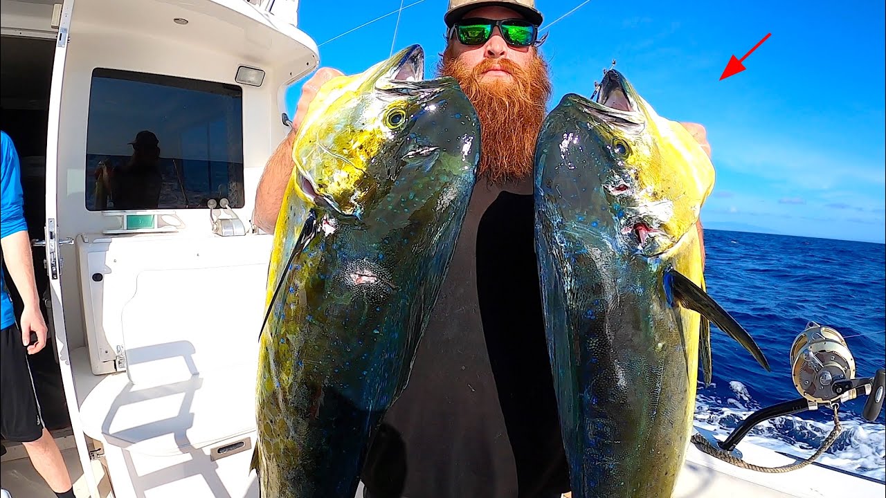 Catching Big Mahi Mahi Deep Sea Fishing in Hawaii - YouTube