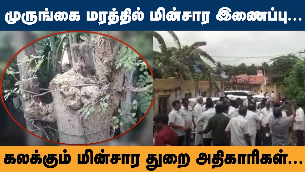 முருங்கை மரத்தில் மின்சார இணைப்பு...கலக்கும் மின்சார துறை அதிகாரிகள் ...