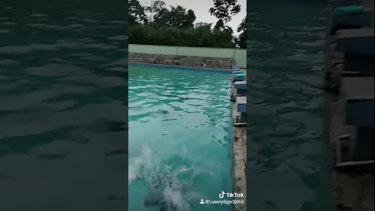 Swimming tiktok - YouTube