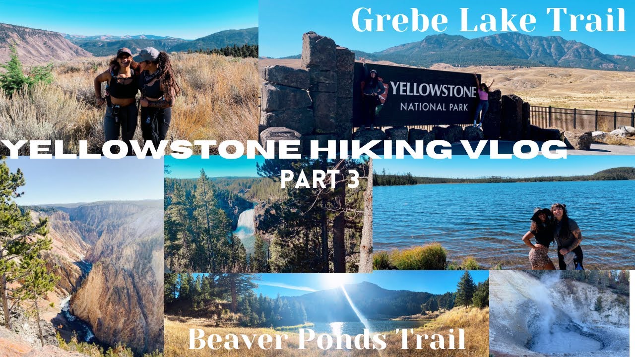 YELLOWSTONE HIKING VLOG |GREBE LAKE,BEAVER PONDS&SEE THE GRAND CANYON ...