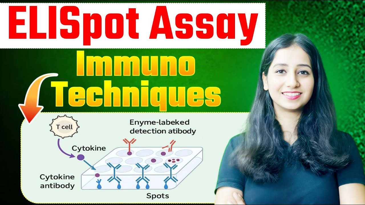 ELISpot Assay I Immunotechnique I Immunology I Bansal Biology - YouTube