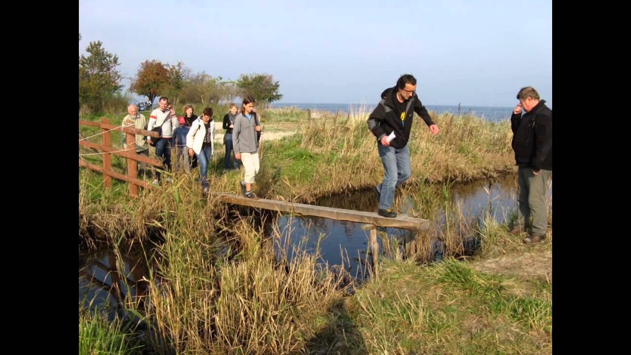 Ptasi rezerwat przyrody BEKA nad zatoką Pucką, ujście rzeki Redy ...