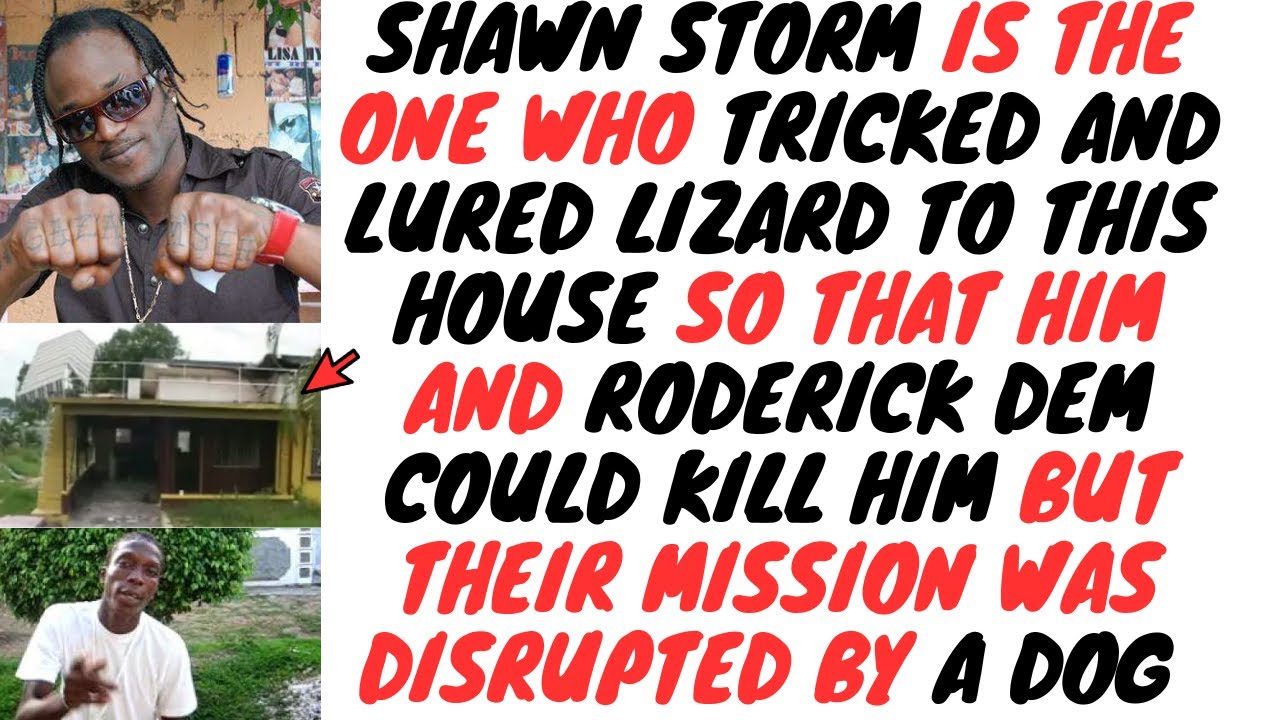 Shawn Storm Sacrificed Lizard On The Altar Of Gaza So He Could Please ...