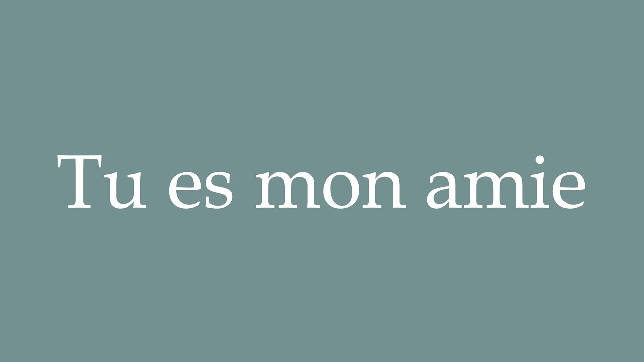 How to Pronounce ''Tu es mon amie'' (You are my friend) Correctly in ...