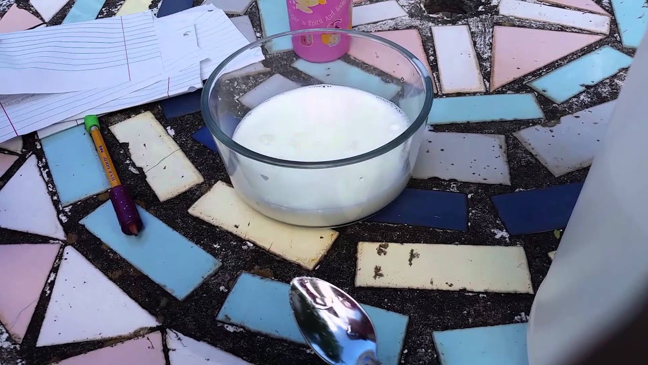 How to make milk into a rock - YouTube