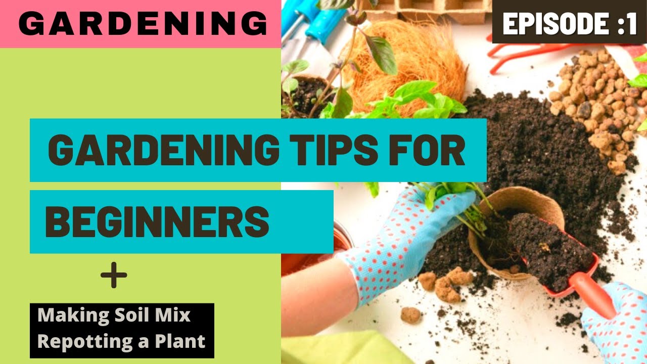 Gardening EP:1 | Gardening Tips for Beginners | Making soil mix ...