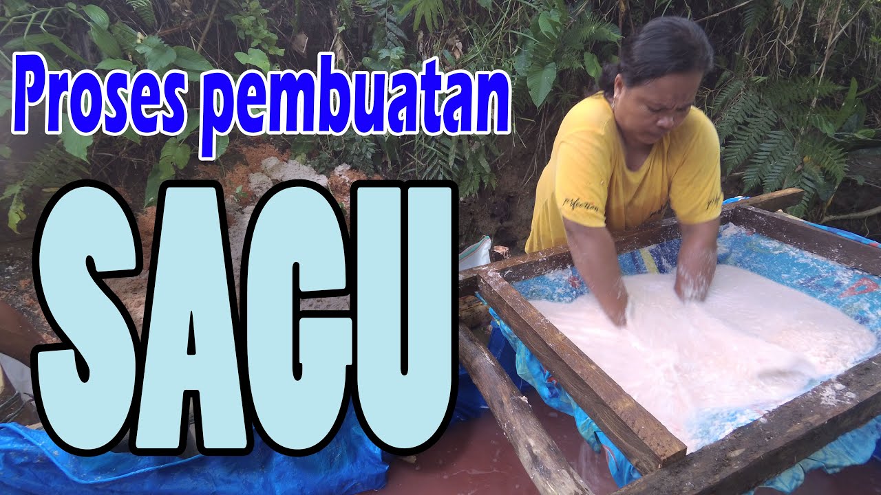 Proses pembuatan sagu - YouTube