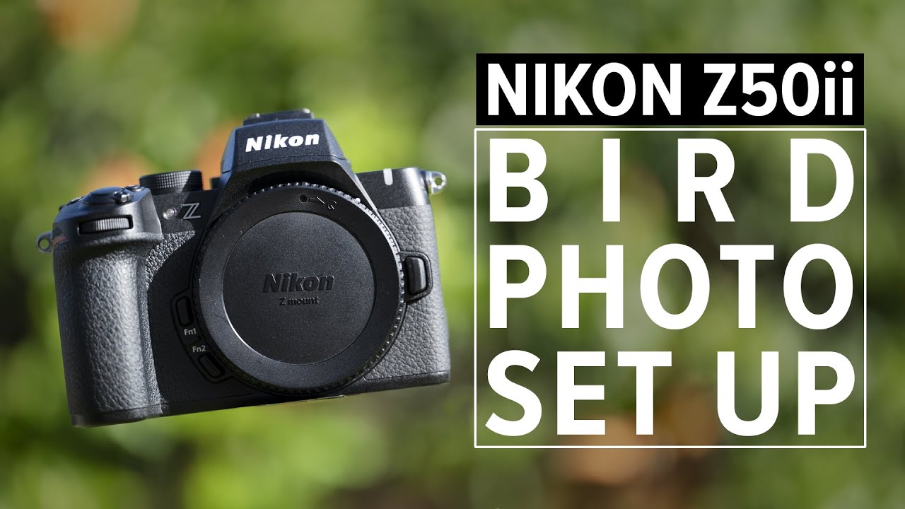 Nikon Z50ii Bird Photography | Menu Setup & Camera Settings Tutorial ...