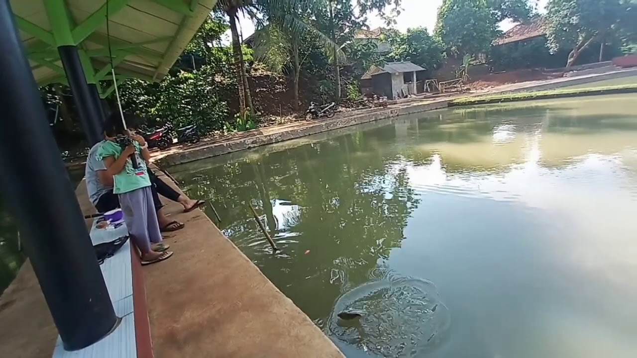 Mancing mania 😂 - YouTube