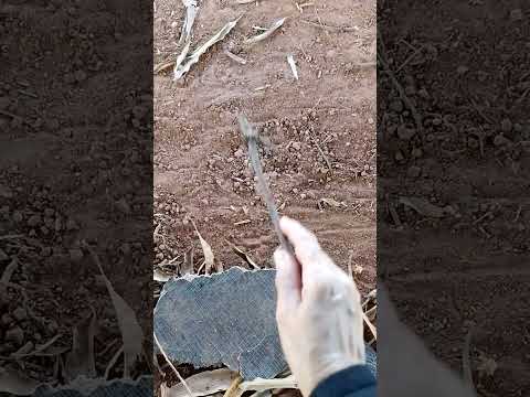 magia  negra  perigosa  pra matar  apodrecer seu inimigo  essa é  fatal