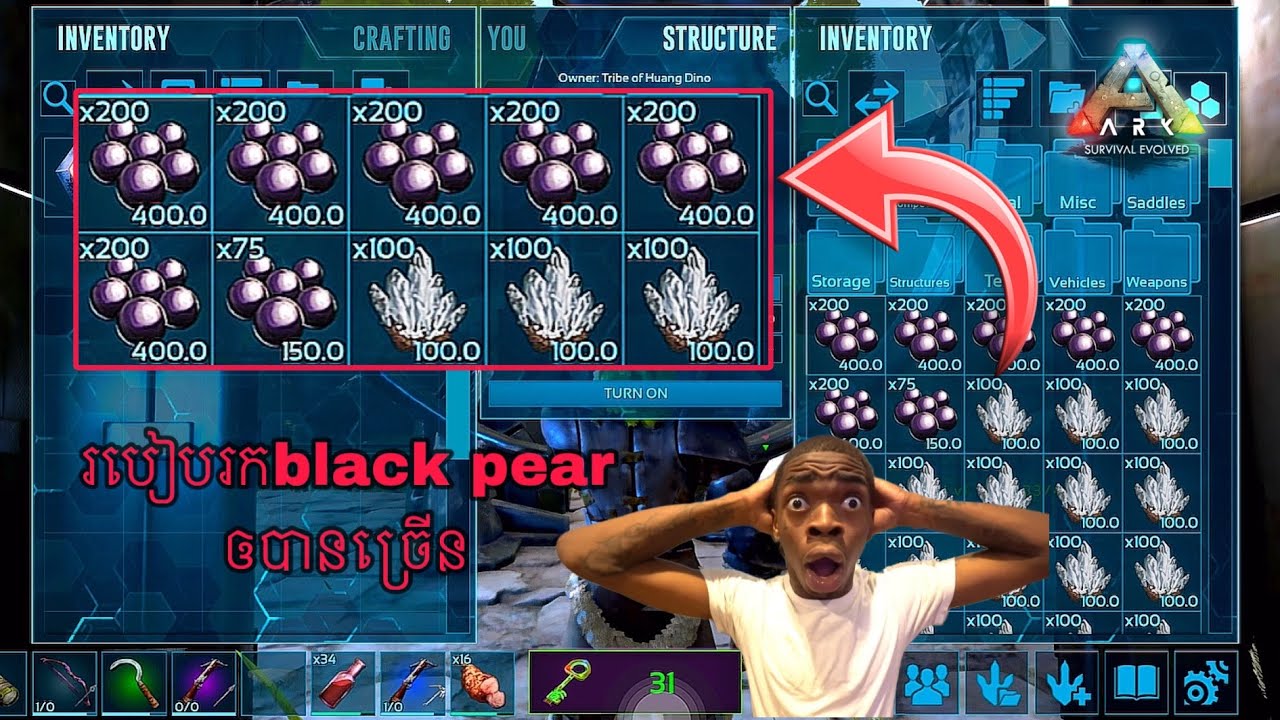 របៀបរកblack pearបានច្រើន🤩/How to get lots of black pears |Ark: Ultimate ...