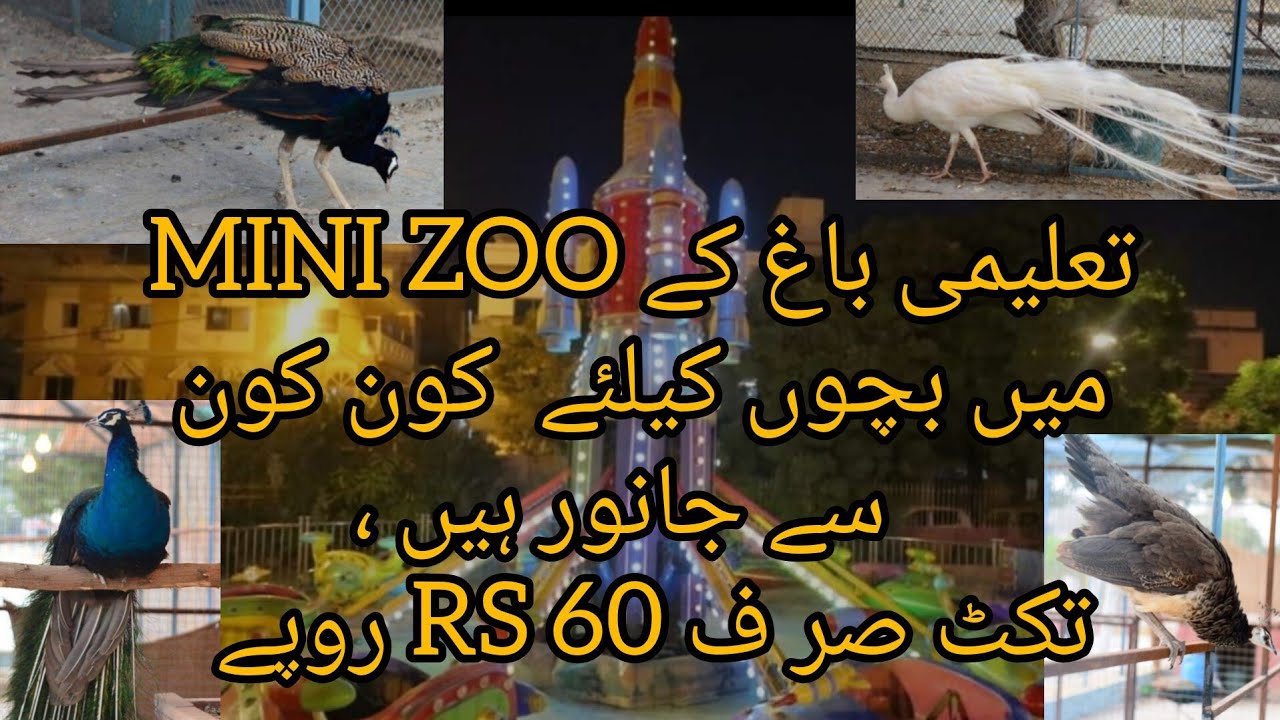 Taleemi Bagh Mini Zoo Tour, Taleemi Bagh Zoo for Kids, Taleemi Bagh ...