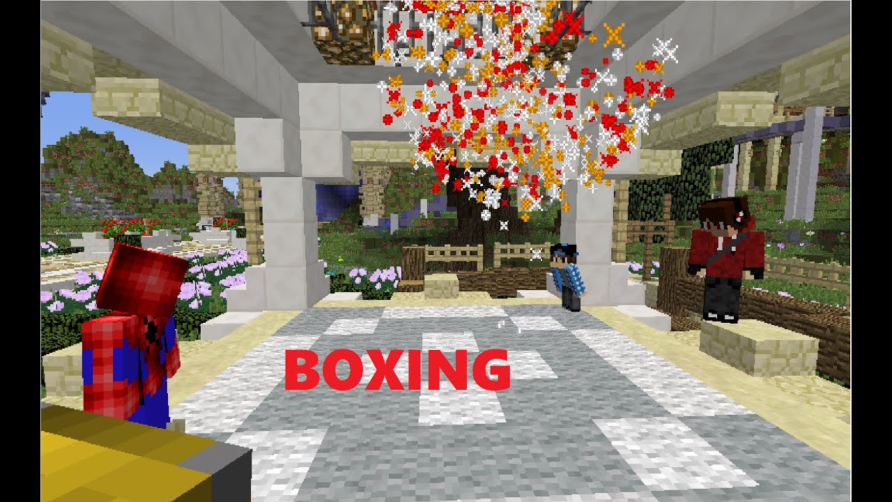 Minecraft Boxing - YouTube