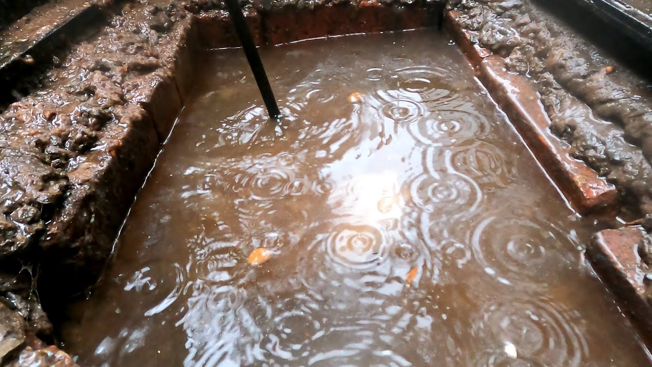 This is why we LOVE DRAINS! - YouTube