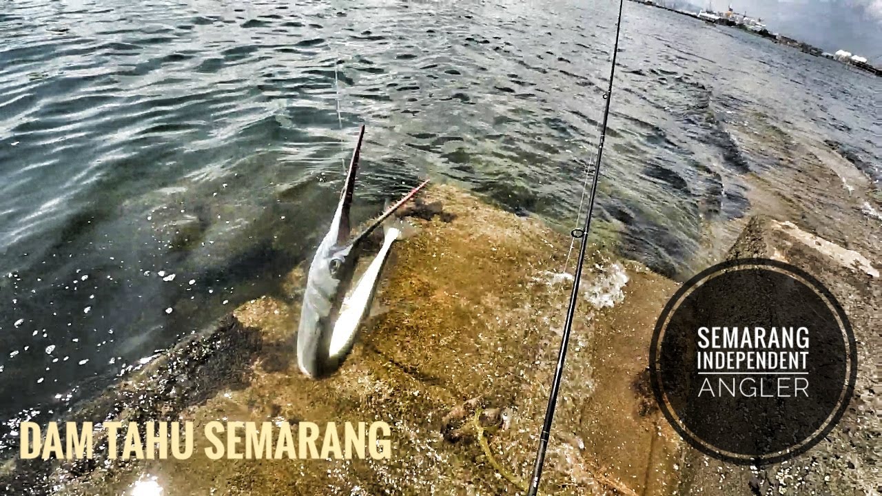 Spot Mancing Semarang Dam Tahu - YouTube