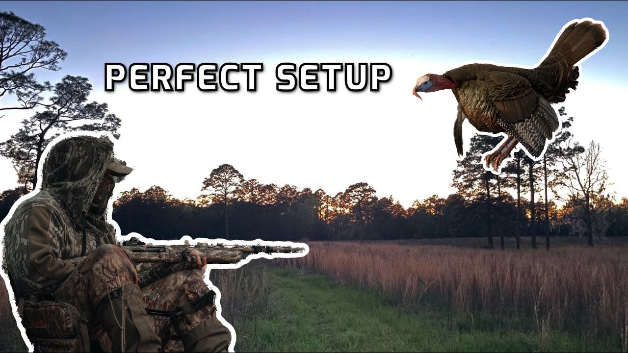 TEXTBOOK TURKEY HUNT "The Perfect Setup" - (Chasing 49 GA) - YouTube