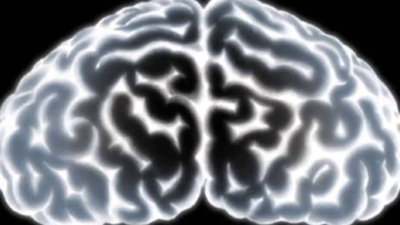 A look at future Human evolution, what we might look like and how we ...