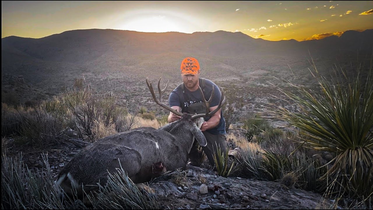 Texas Public Land Muley Hunt - YouTube