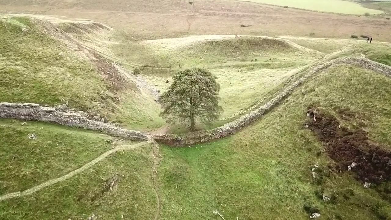 Kevin Costnor Robin Hood Tree Sycamore Gap Hadrians Wall using Mavic ...