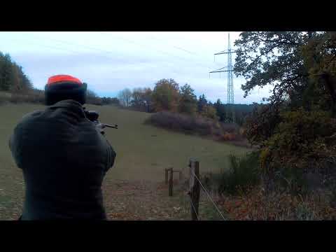 Driven hunt/Naháňka/Drückjagd: Wild Boar in Czech Republic #Drivenhunt #Drückjagdt