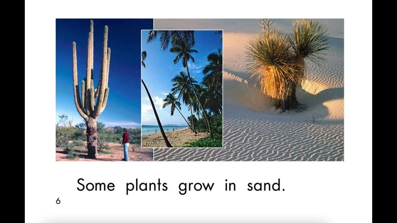 Where Plants Grow A Z Leveled Book D8 English - YouTube