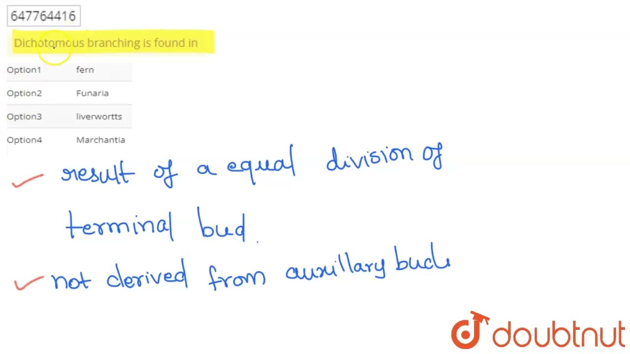 Dichotomous branching is found in | 12 | PLANT KINGDOM | BIOLOGY ...