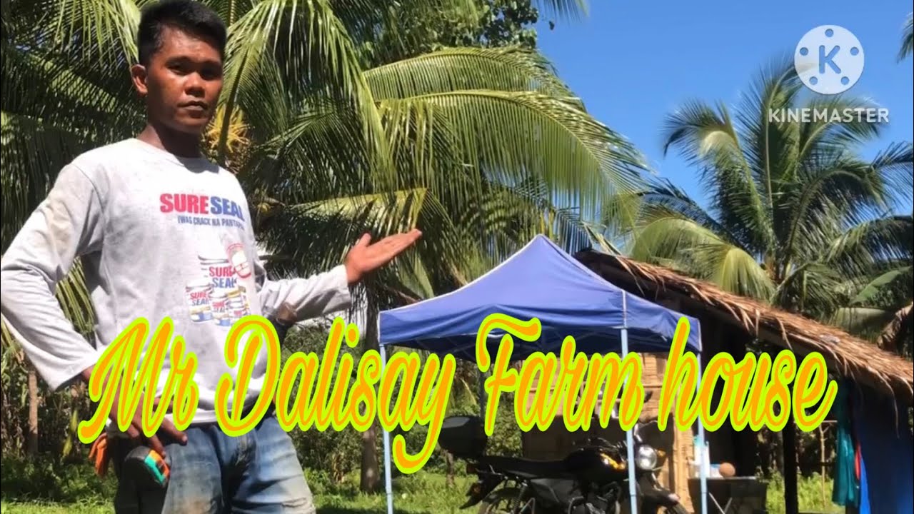 Mr Dalisay Farm house update video / Mr Dalisay Vlog - YouTube