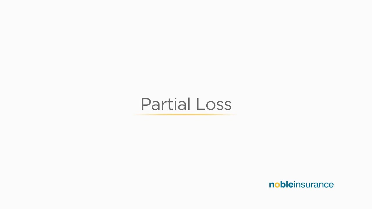 PARTIAL LOSS - YouTube