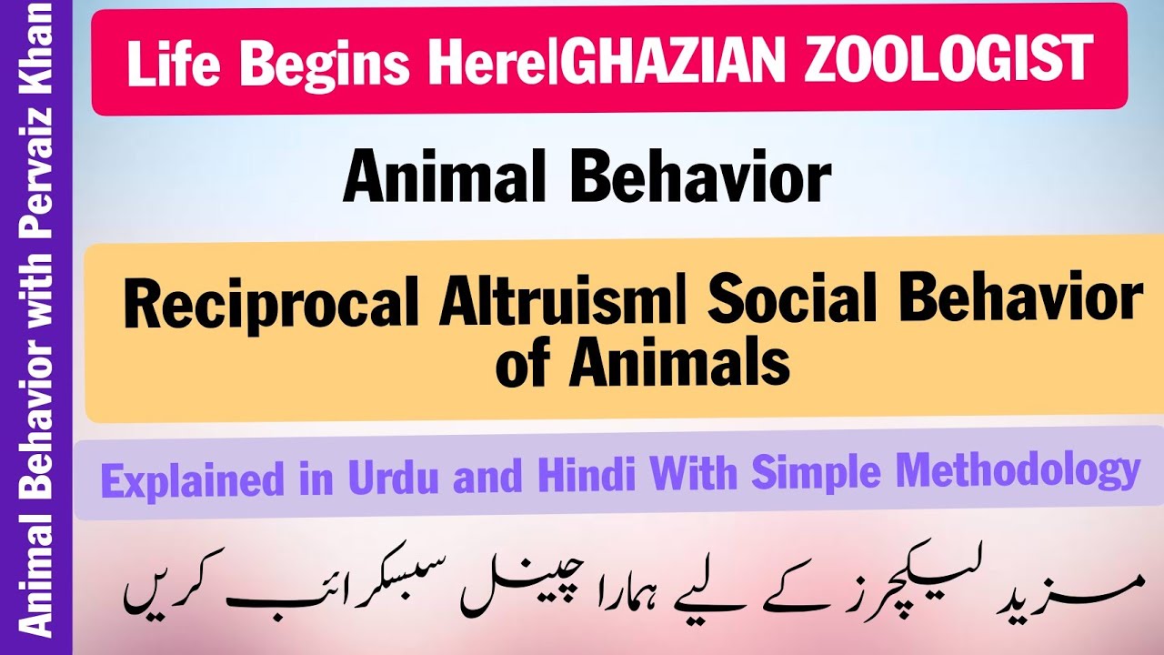 Reciprocal Altruism|Social Behavior of Animals | Animal Behavior - YouTube