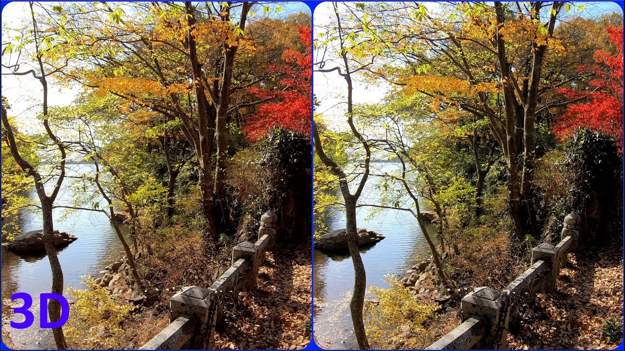 3D video, Fall foliage, Stereogram, Magic eye, SBS, Side By Side ...