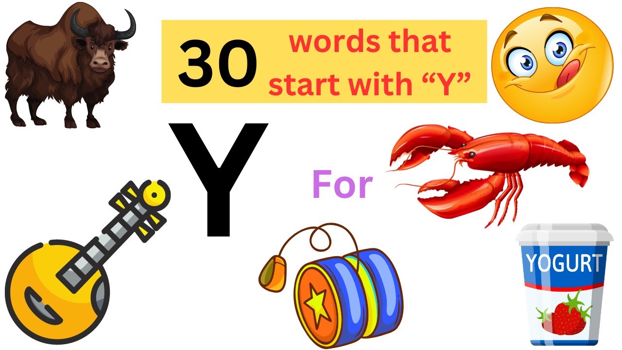 30 Words starting with letter Yy | Letter Y words for kids | phonics | Words start with Yy | Y ...