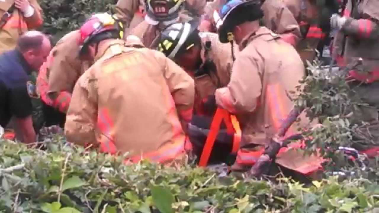 Tree fall on man while driving his car Pt2 - YouTube