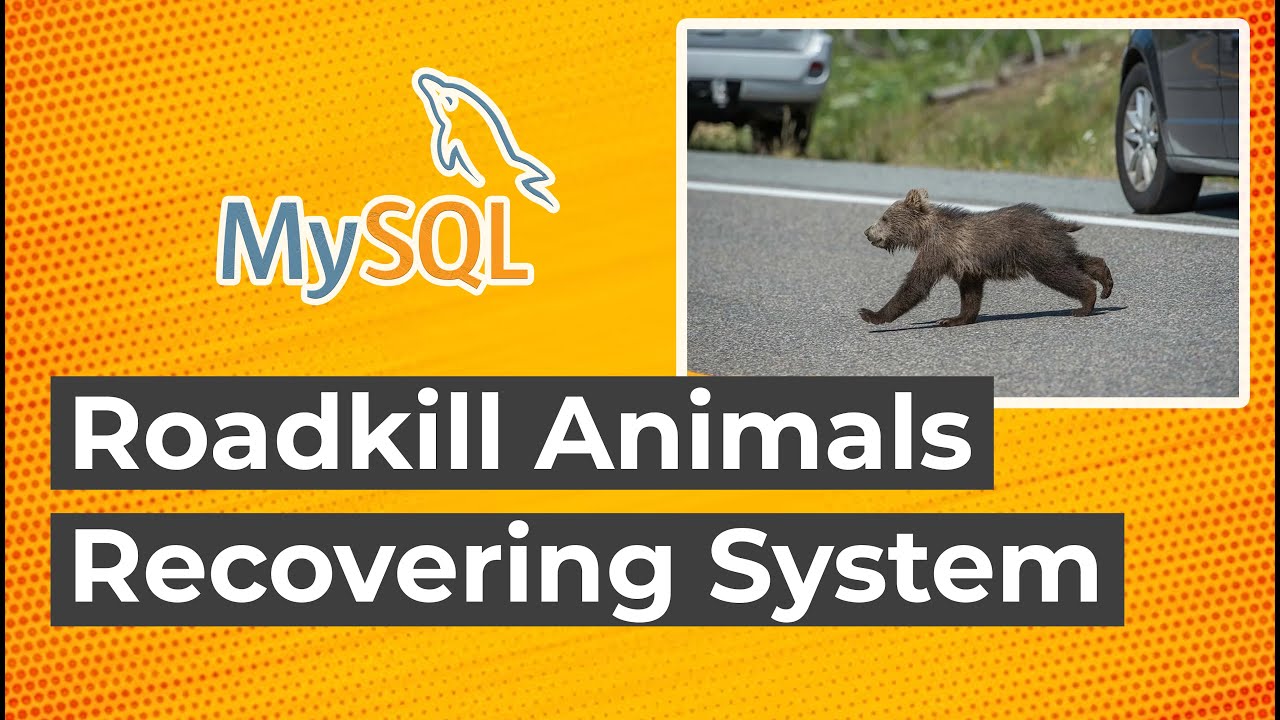 Roadkill Animals Recovering System - YouTube