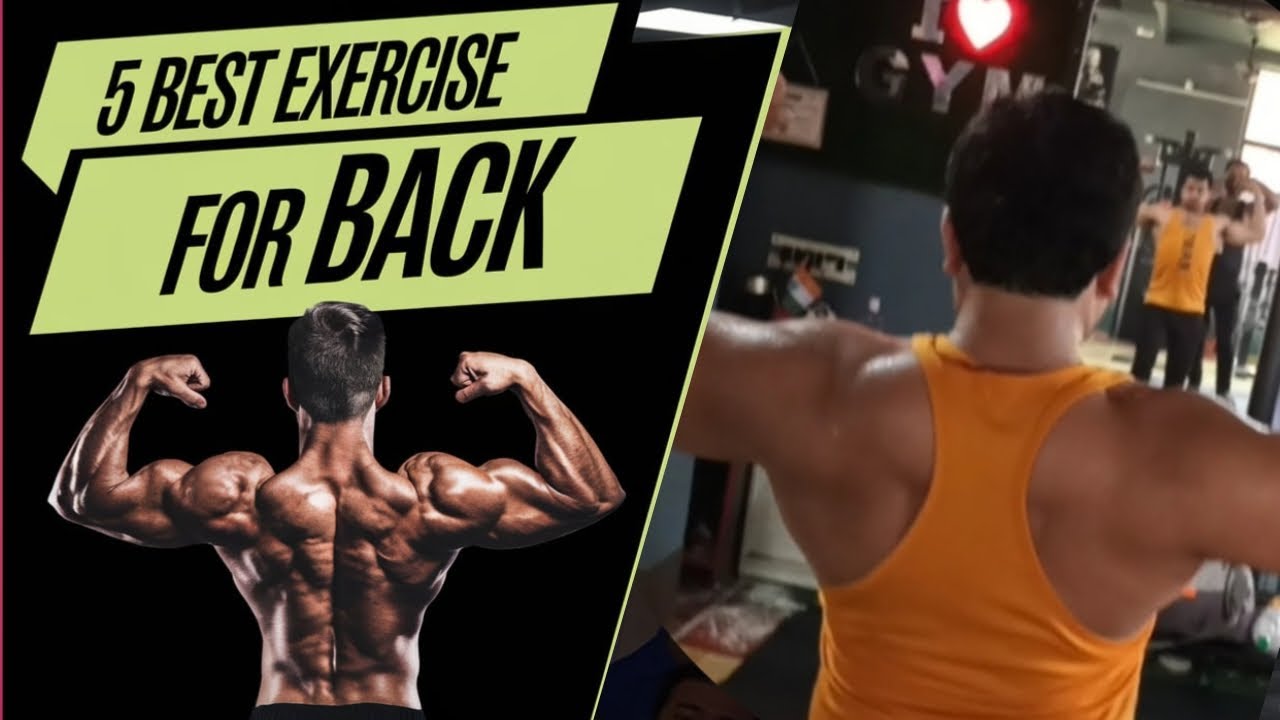 7 Gym Back Exercises for a MASSIVE Back & Lats (WORKOUT) | 2024 #vlog ...