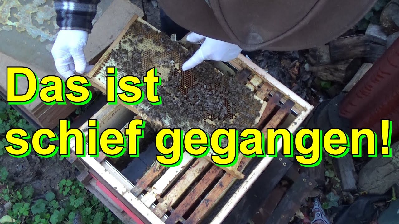 Das ist schief gegangen! - YouTube