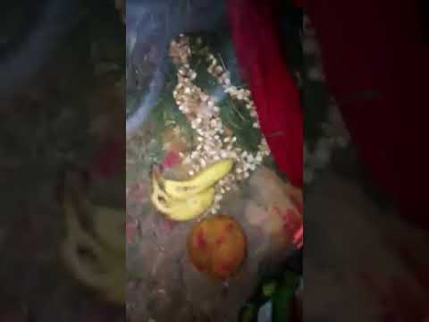 Dedh futiya ka chamatkar - YouTube