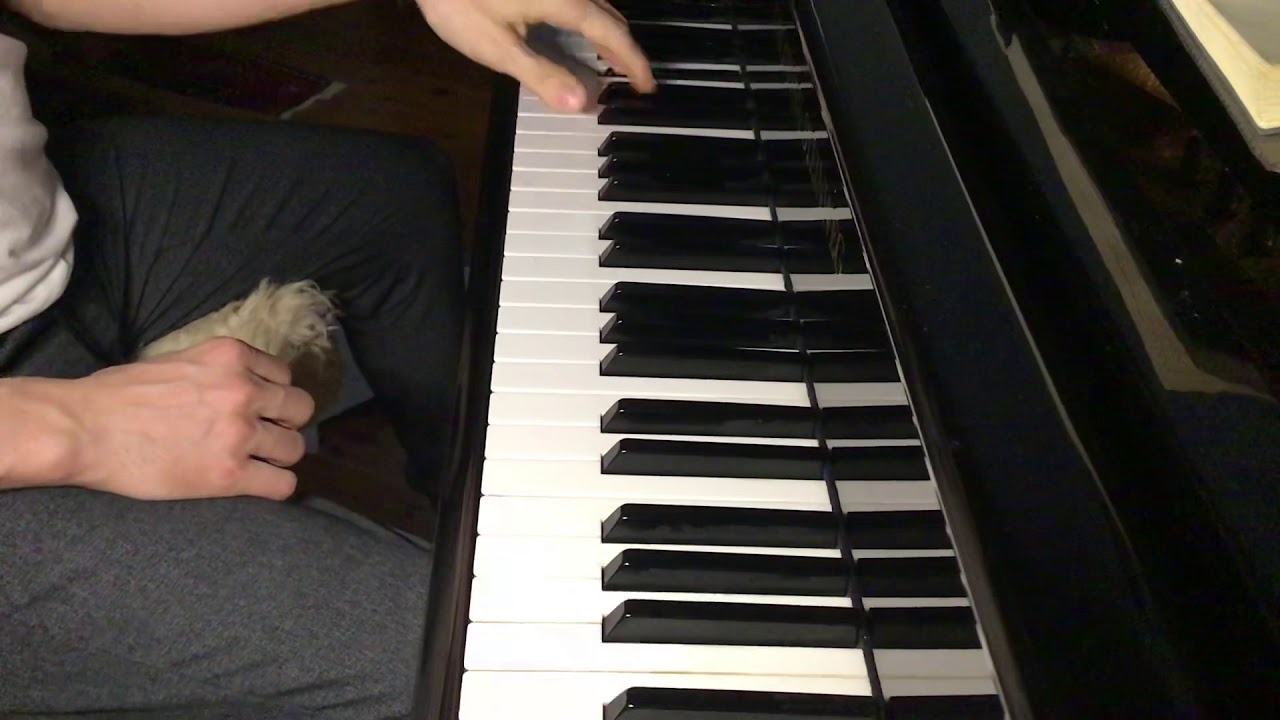 Evening polyphonic baroque impro - YouTube