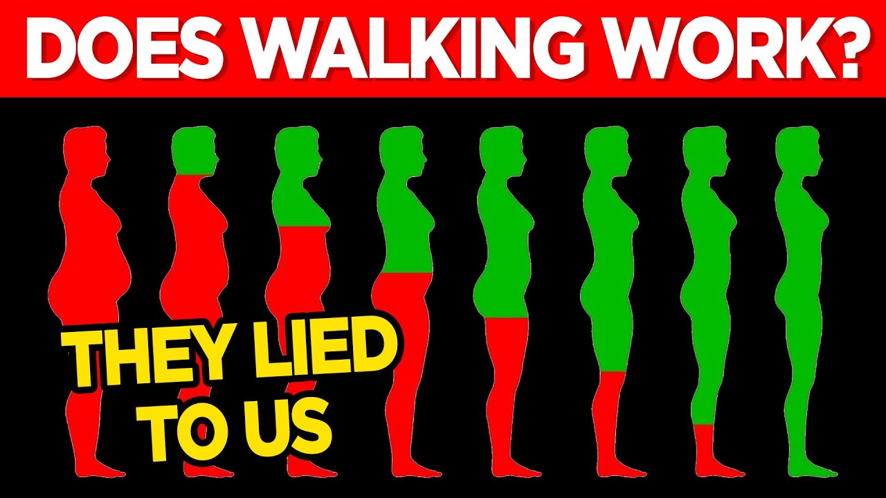10 BENEFITS WHEN YOU WALK EVERY DAY (AMAZING) | The Effects of WALKING ...