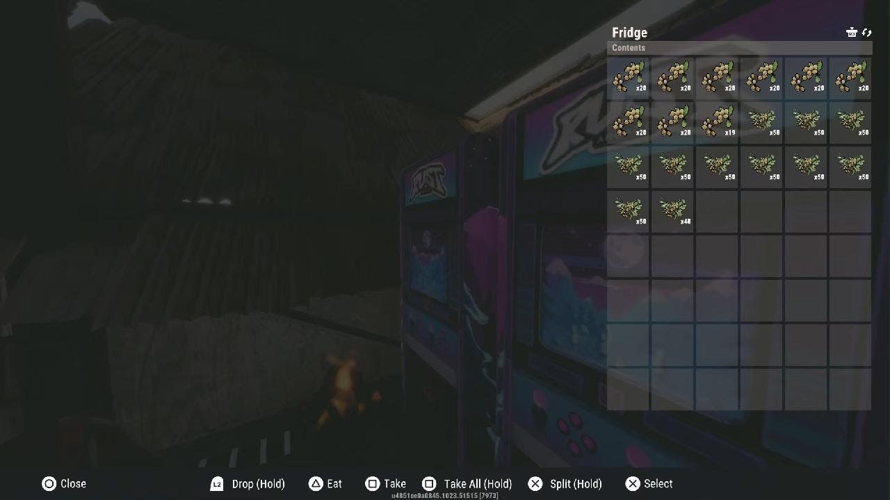 Rust Universal Language - YouTube