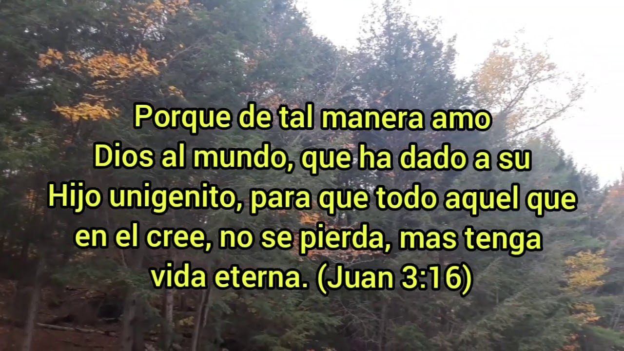Amazing Grace, Spanish (John Newton) Read Description... - YouTube