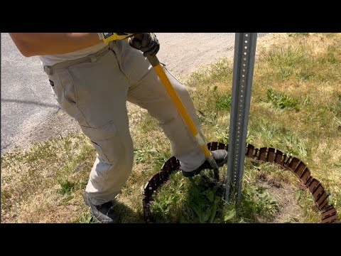 Our First Attempt At Landscaping - YouTube