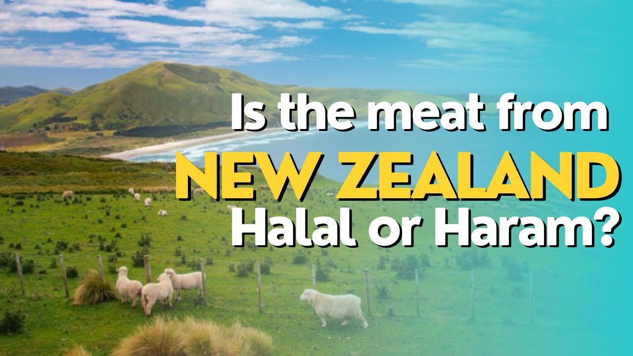 Is The Meat From New Zealand Halal Or Haram newzealand YouTube Is The Meat From New Zealand Halal Or Haram newzealand YouTube