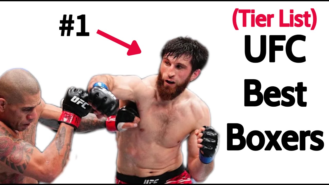 Ranking The BEST Boxers In The UFC | TIER LIST (2025) - YouTube