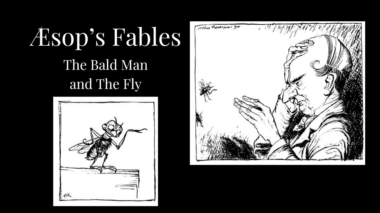 The Bald Man and The Fly from Æsop's Fables - YouTube