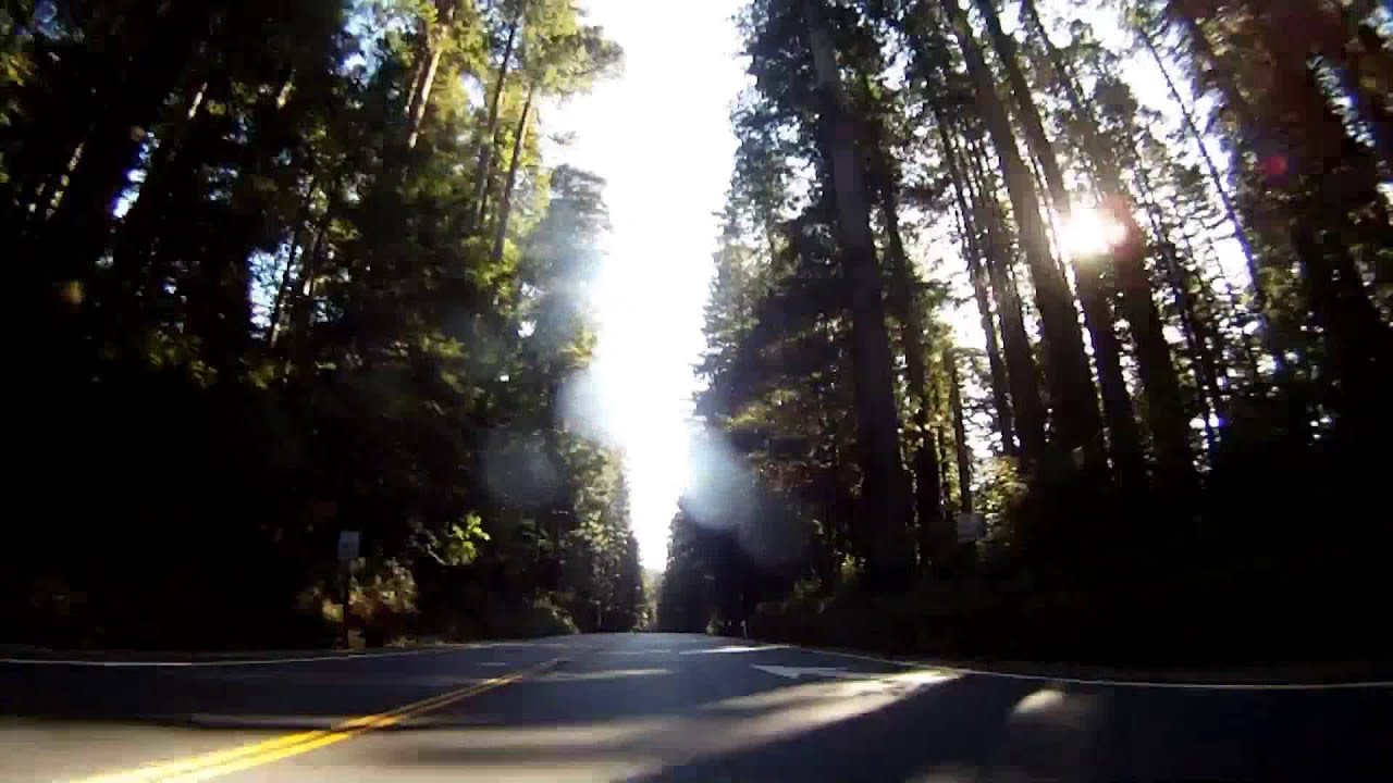 Driving through the Redwoods (HD Time Lapse) - YouTube
