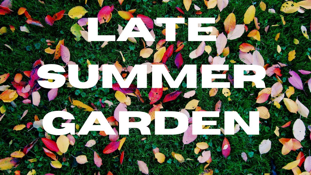 How to Plant a Fall Garden Tips & Trick - YouTube