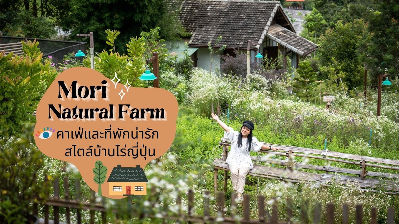 Mori Natural Farm เหมือนได้เที่ยวบ้านไร่ญี่ปุ่นเลย คาเฟ่น่ารักมีที่พัก ...