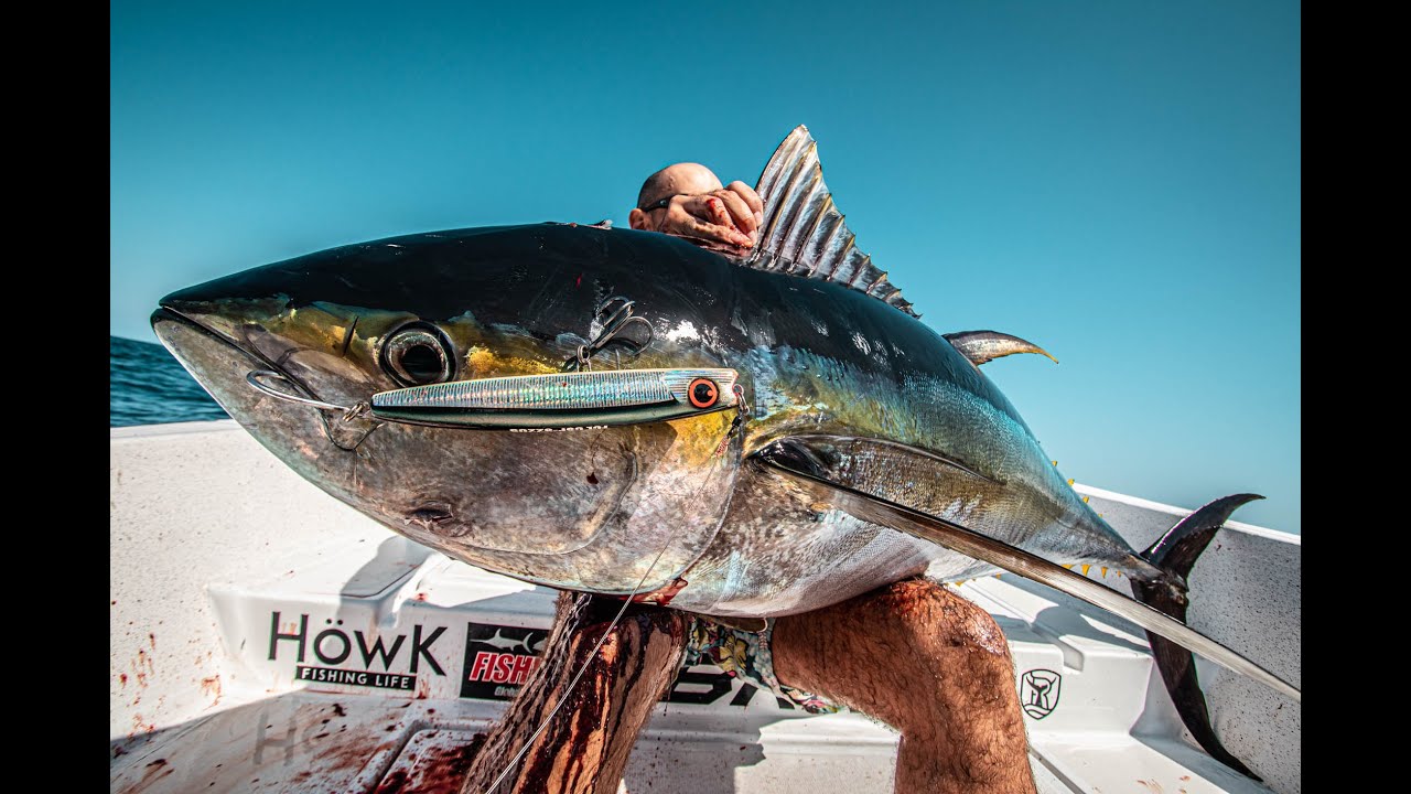 MotherShip Fishing Expedition - Best Popping and Jigging in Mexico ...