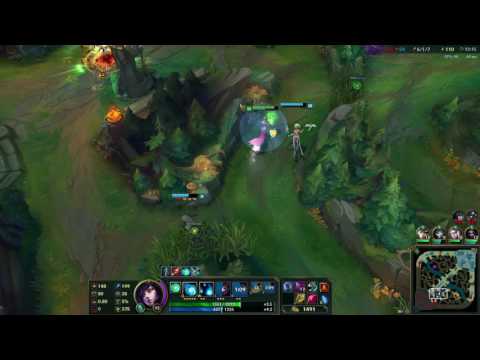 When the fox tickles you in the night ;) pt.2 Boosted Animals Gaming