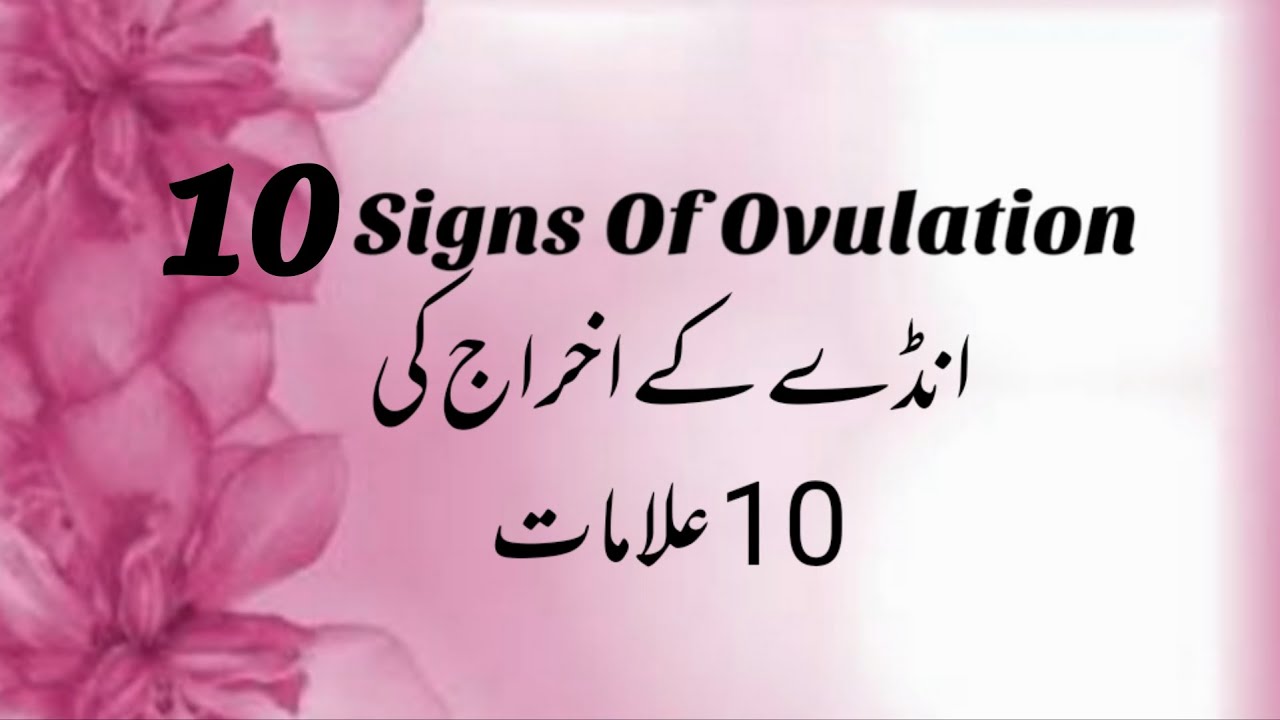 10 OVULATION SIGNS | OVULATION SYMPTOMS | SYMPTOMS OF OVULATION DAY ...